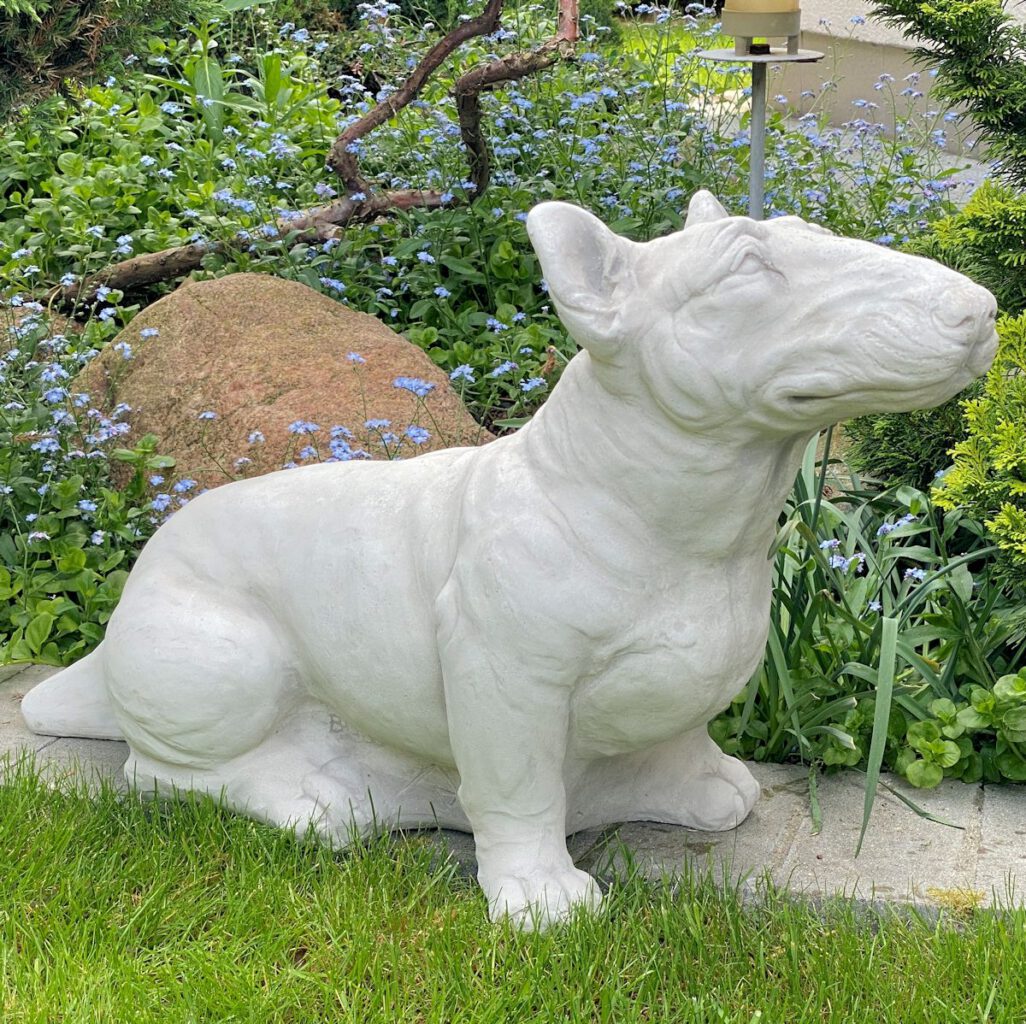 Bull Terriër 42cm. Betonnen dieren tuinbeeld voor in uw tuin.