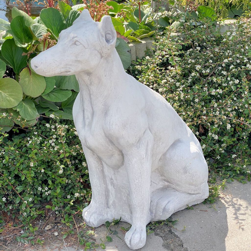 Dobermann. Mooi betonnen dieren tuinbeeld voor in uw tuin.